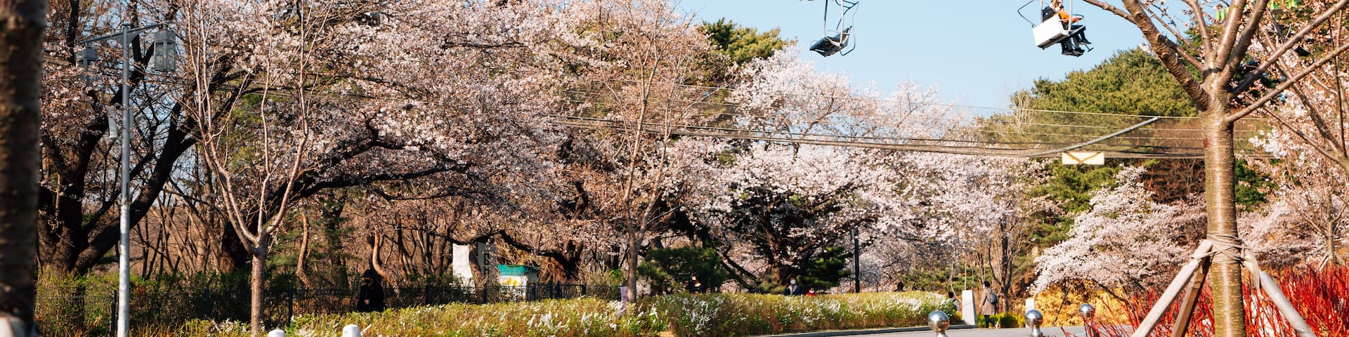 Gwacheon, Gyeonggi, Coreia do Sul