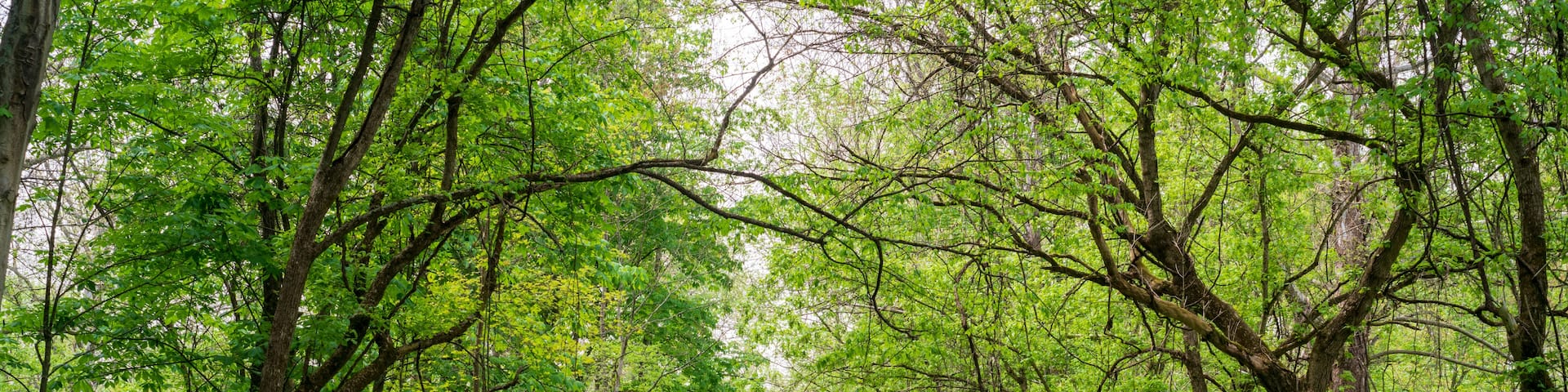Athens, Ohio, Estados Unidos