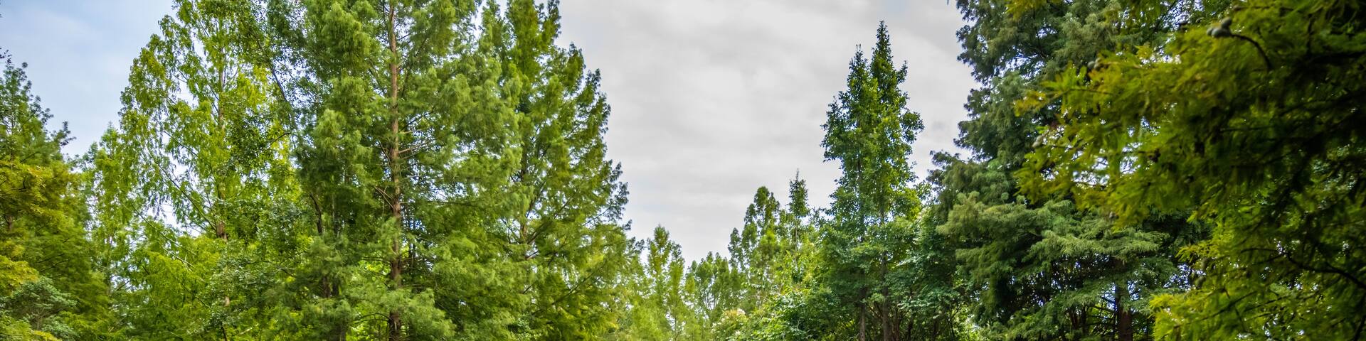 Aiken, Carolina do Sul, Estados Unidos