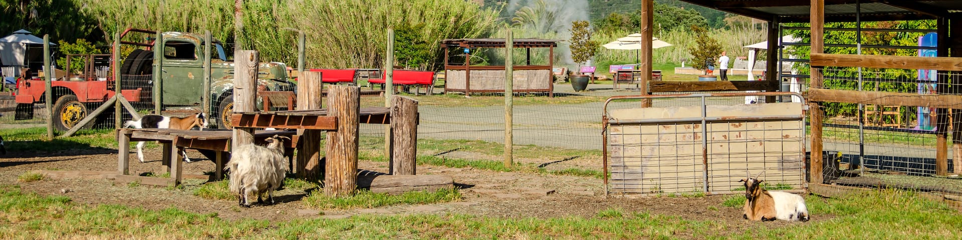 Calistoga, Califórnia, Estados Unidos
