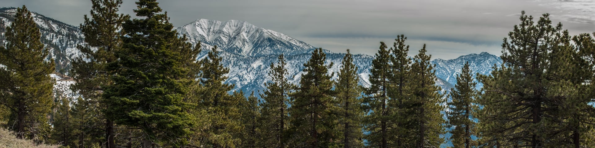Wrightwood, Califórnia, Estados Unidos