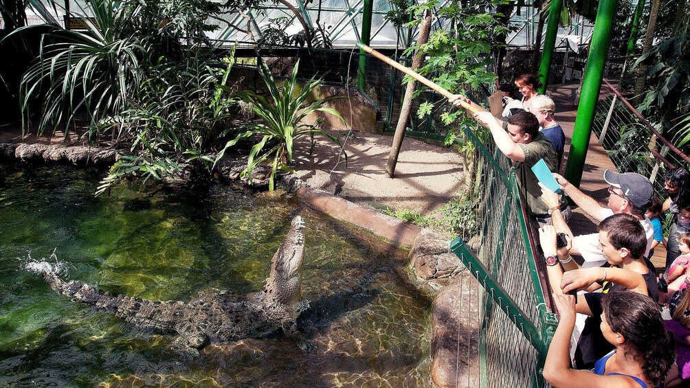 Cairns ZOOM & Wildlife Dome