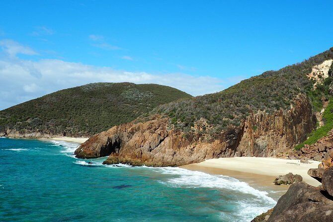 10 TOP Things To Do In Nelson Bay 2020 Attraction Activity Guide 10-top-things-to-do-in-nelson-bay-2020-attraction-activity-guide