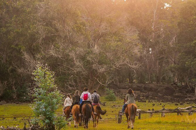 10 TOP Things To Do In Easter Island 2020 Attraction Activity Guide Expedia 10-top-things-to-do-in-easter-island-2020-attraction-activity-guide-expedia