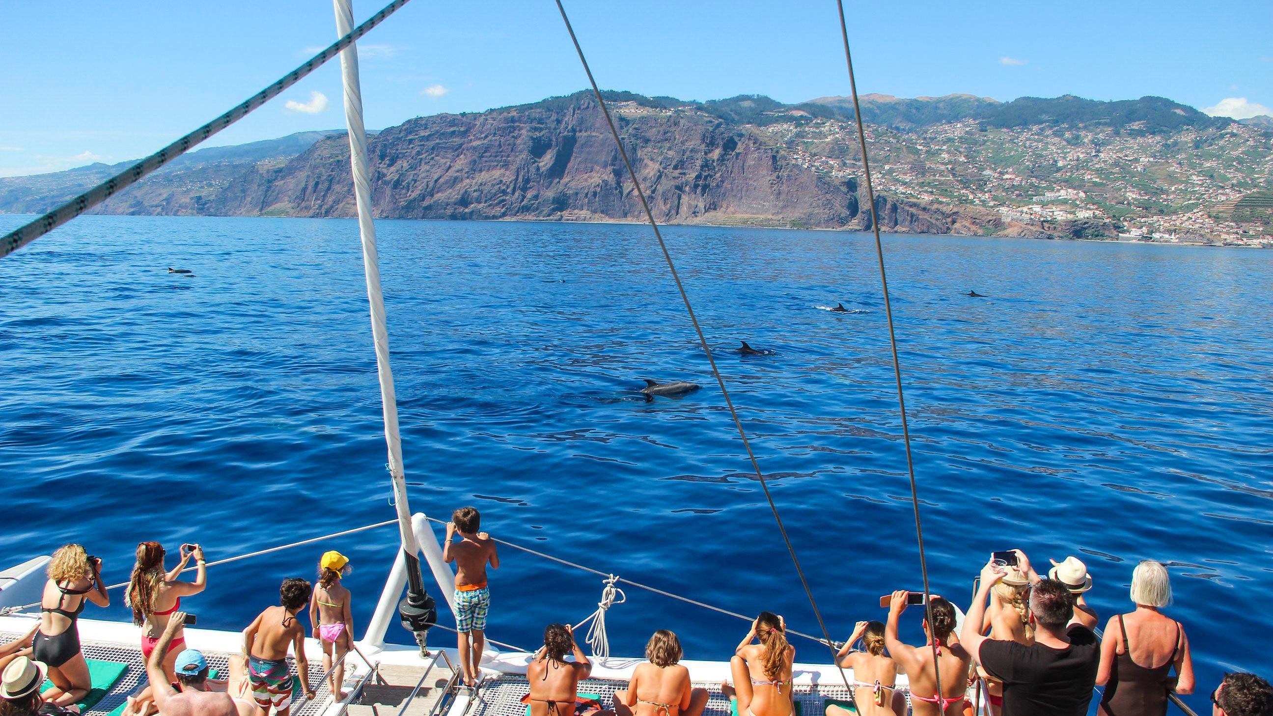 Madeira Half Day Catamaran Cruise