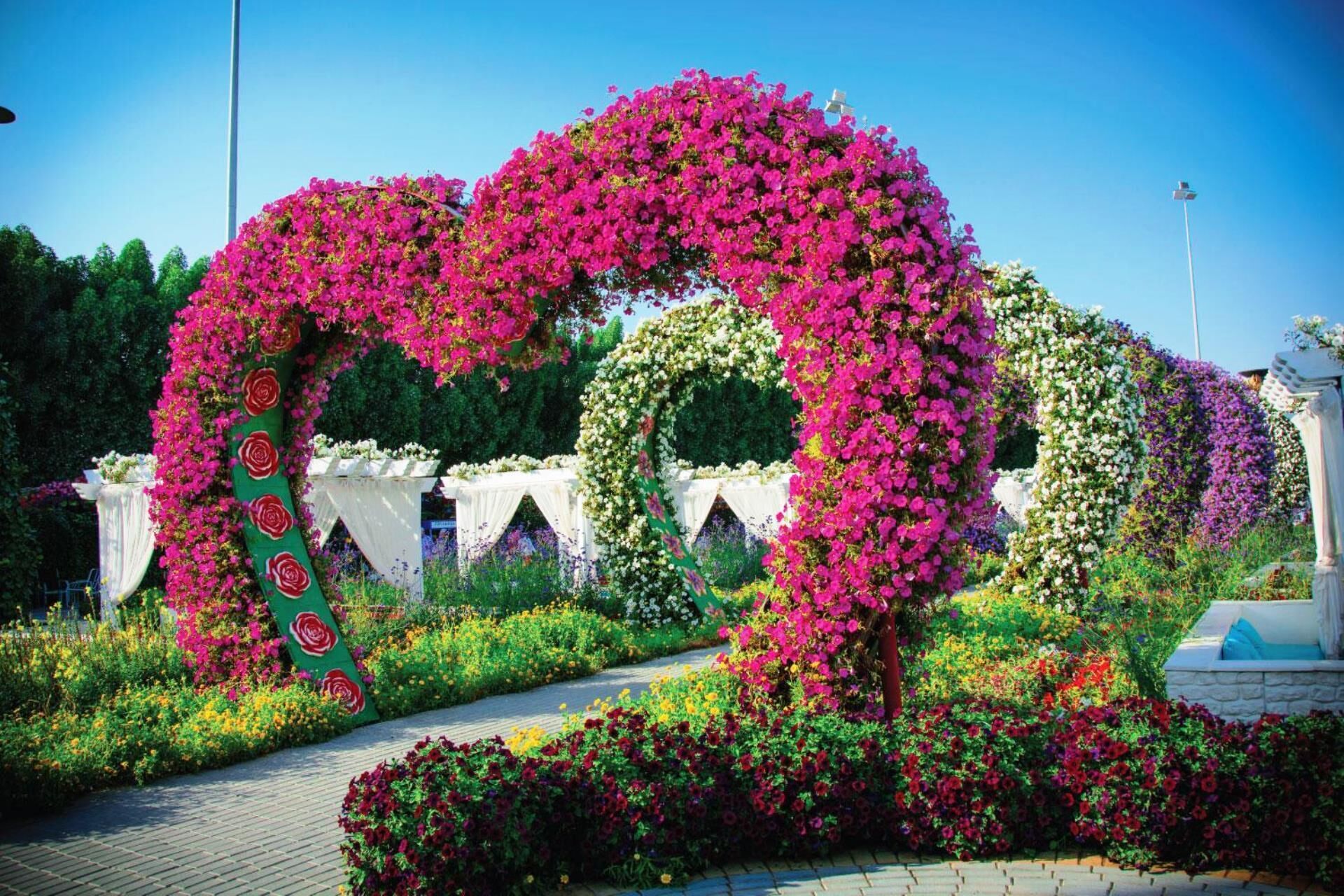 Miracle Garden Flora Fauna Tour Ab Dubai Mit Gray Line