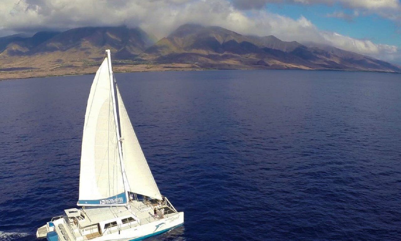 Maui: Dolphin Sailing Adventure with Lunch and Drinks