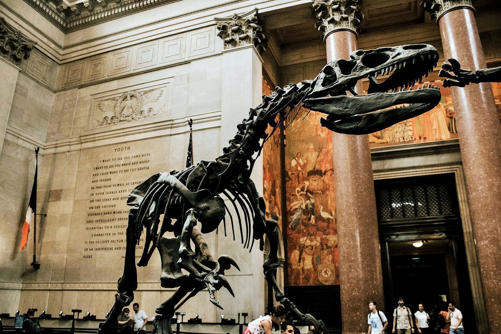 American Museum of Natural History: Ticket with Self-Guided Audio Tour