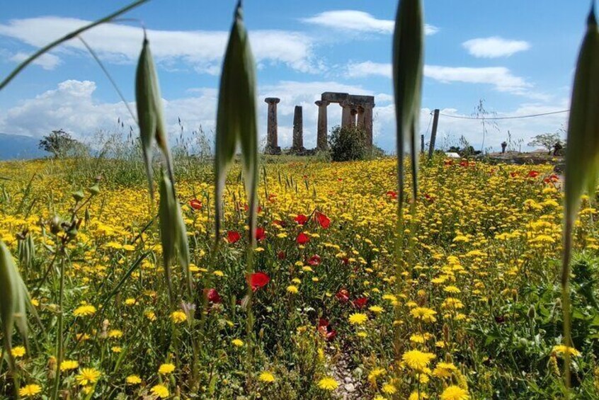 Half Day Ancient Corinth visit Corinth Canal & Ancient Diolkos 4 hours Half Day Ancient Corinth visit Corinth Canal & Ancient Diolkos 4 hours