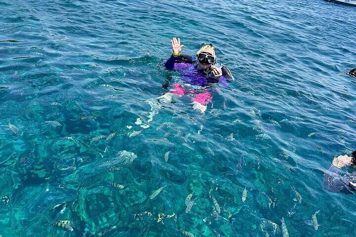 Private Sloths Snorkel And Henry Morgan Beach Resort