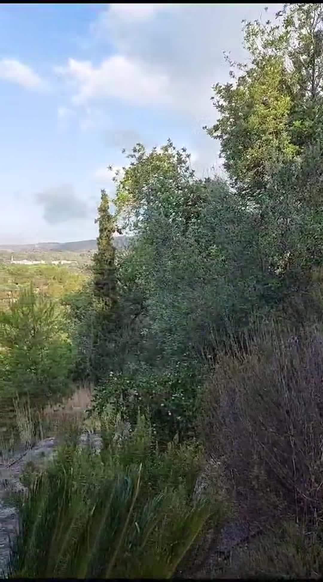 Vídeo do alojamento