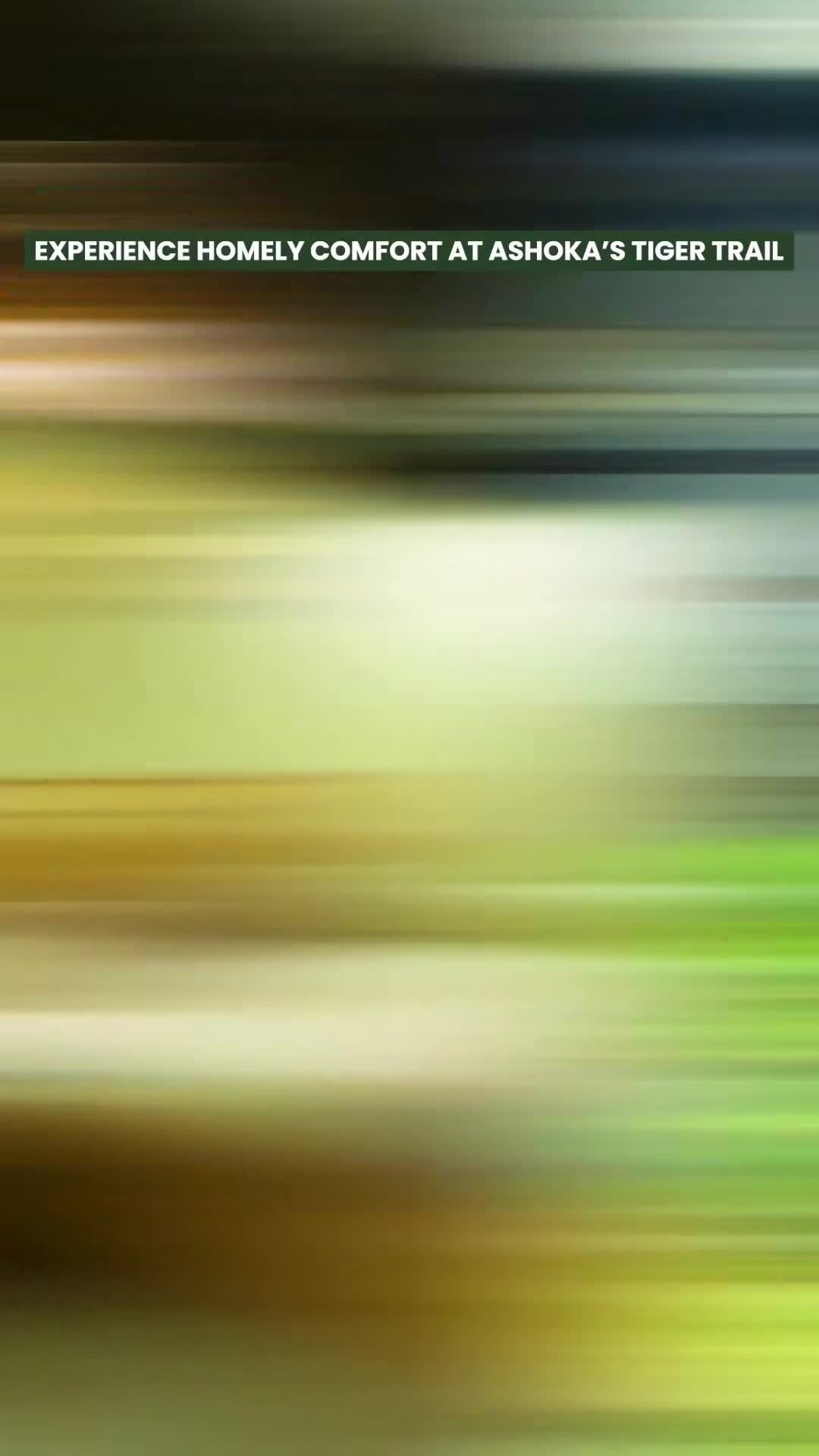 Vídeo do alojamento