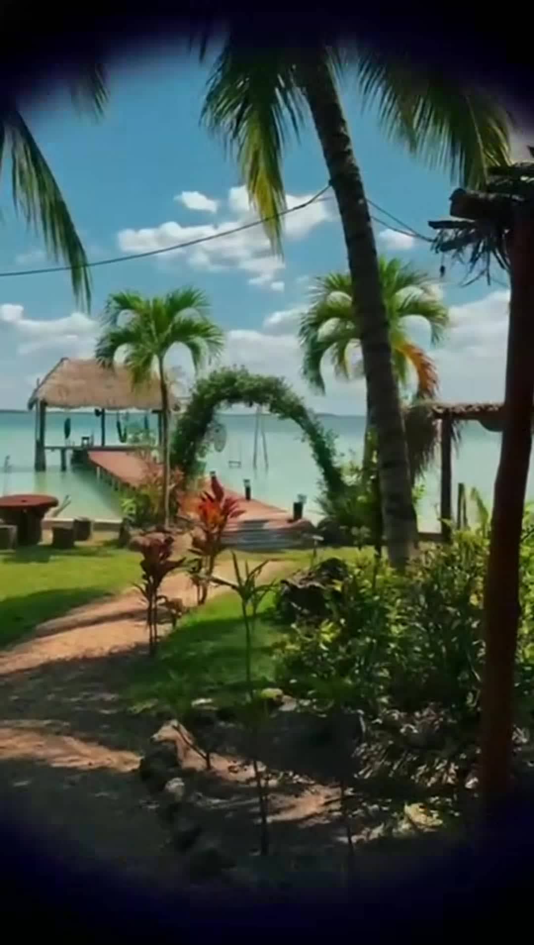 Vídeo do alojamento