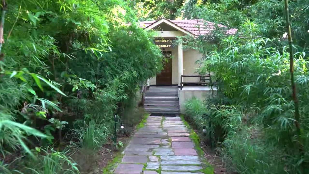 Vídeo do alojamento