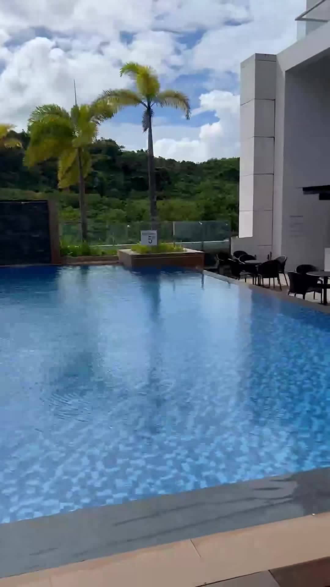 Vídeo do criador