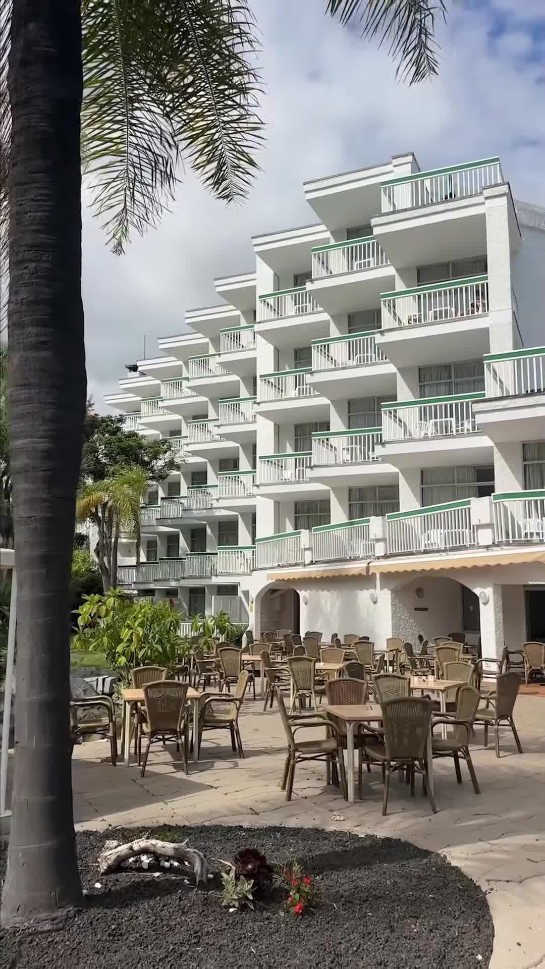 Vídeo do criador