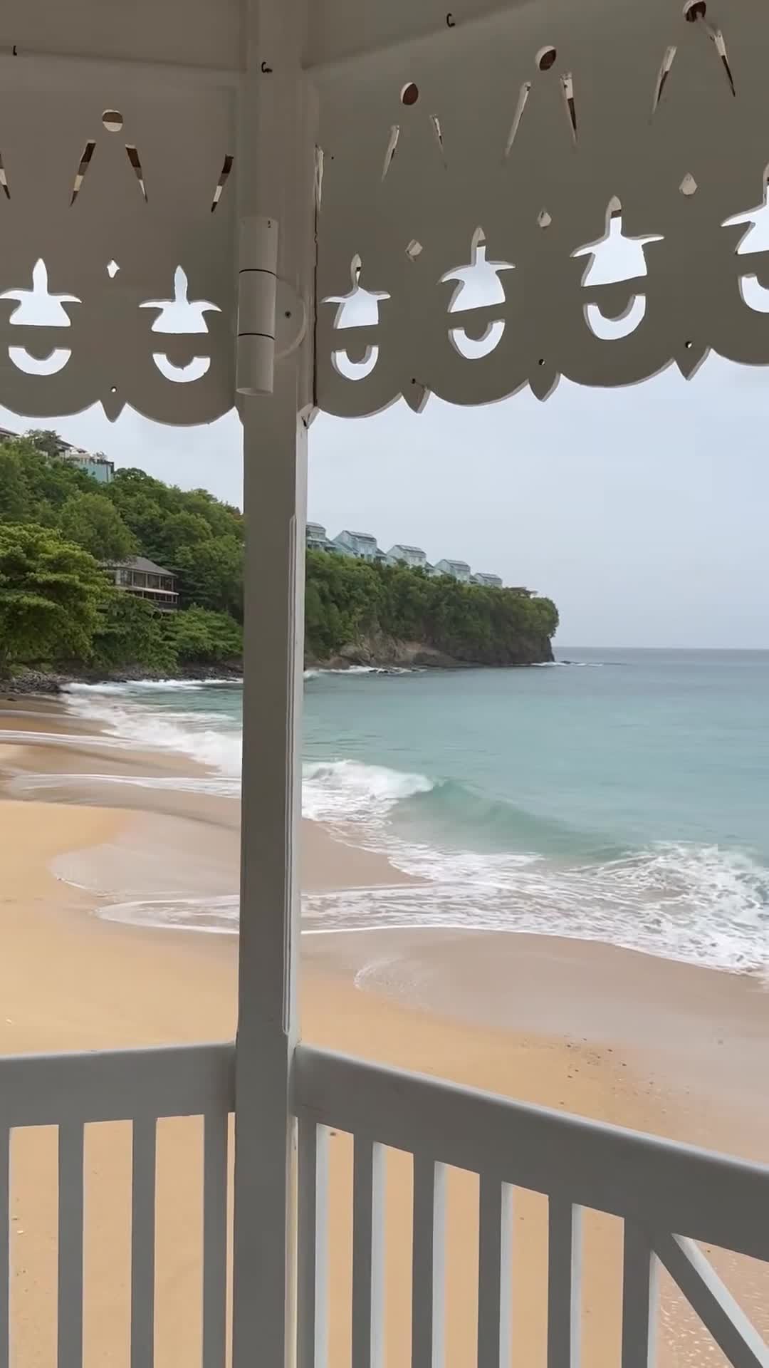 Vídeo do criador