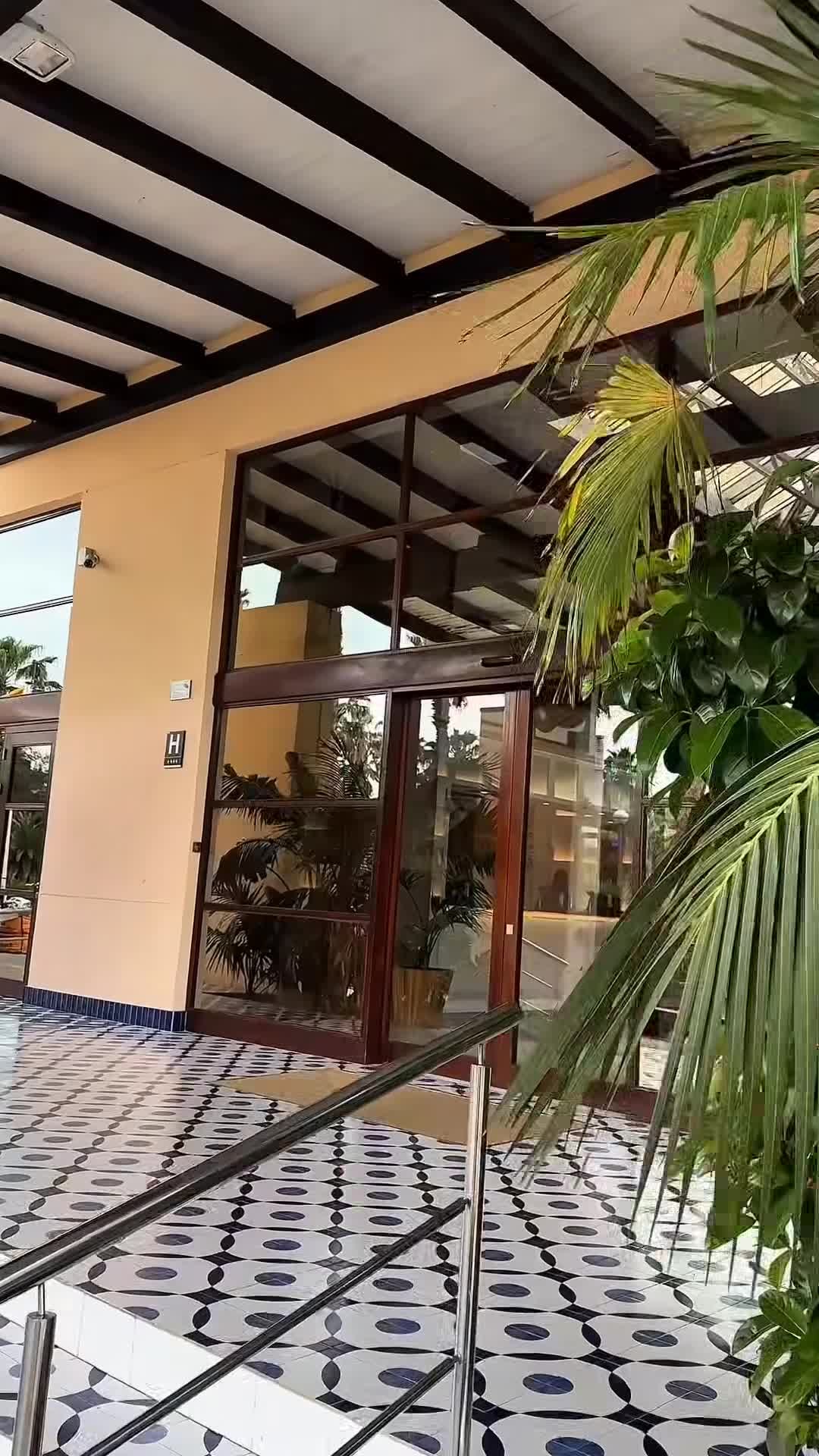 Vídeo do criador
