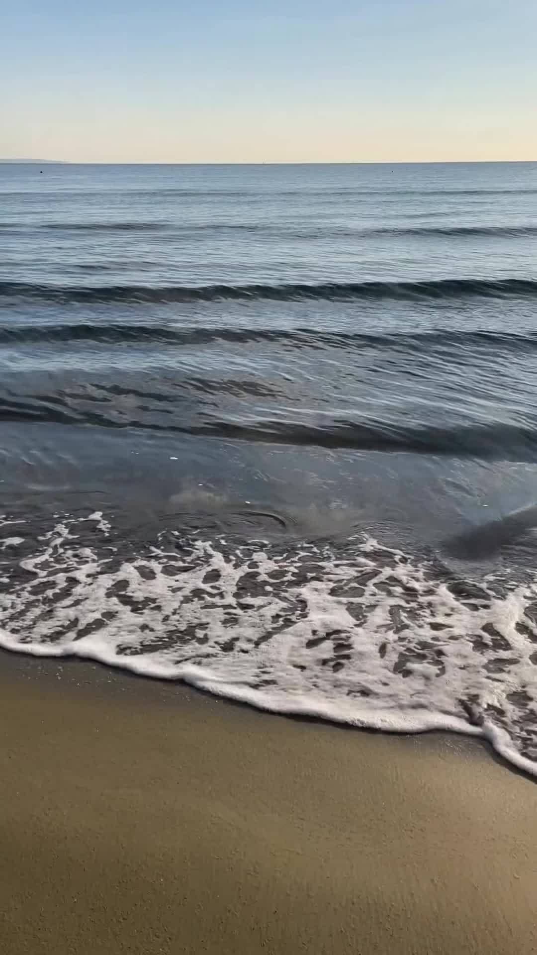 Vídeo do criador