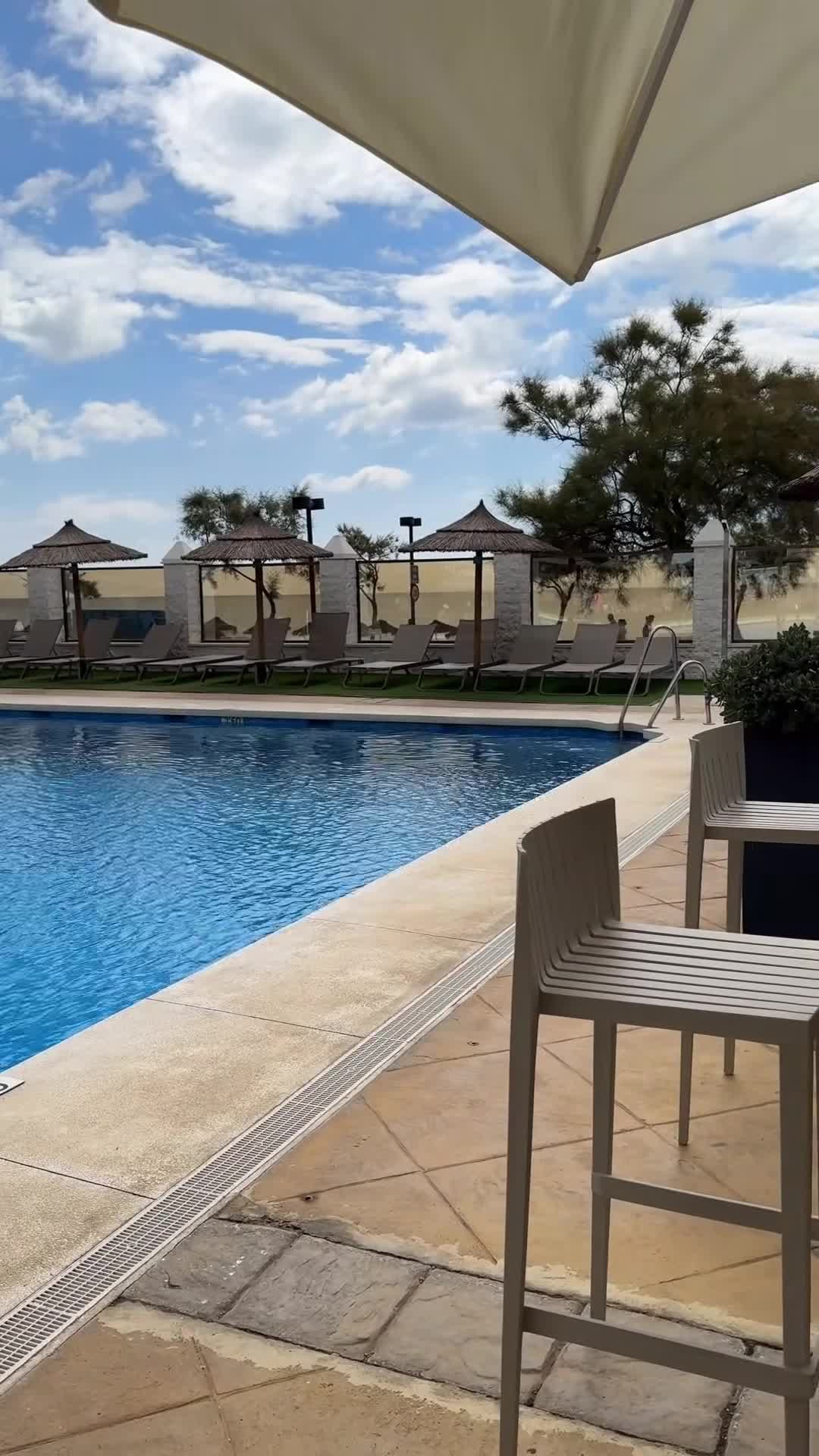 Vídeo do criador