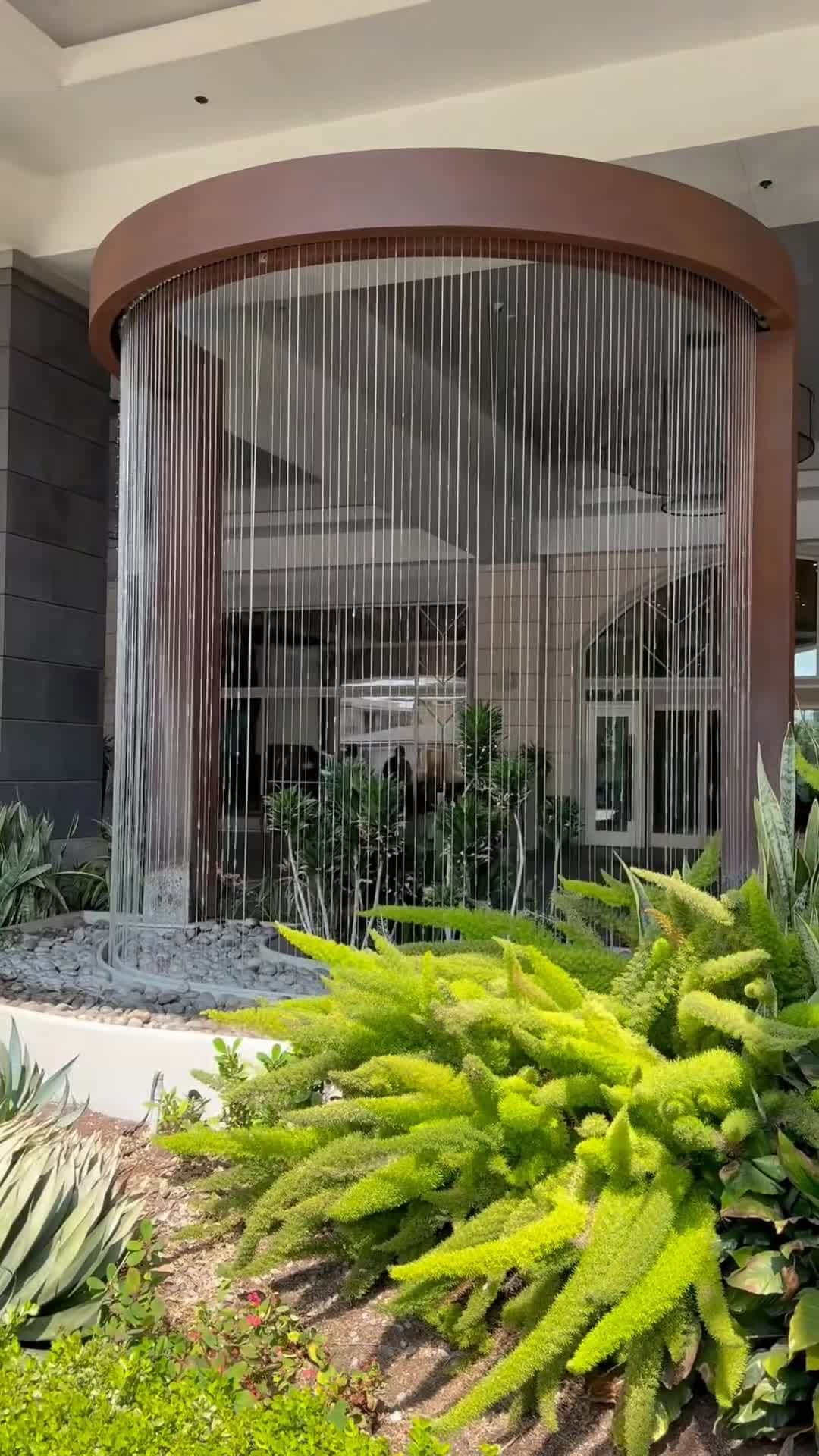 Vídeo do criador