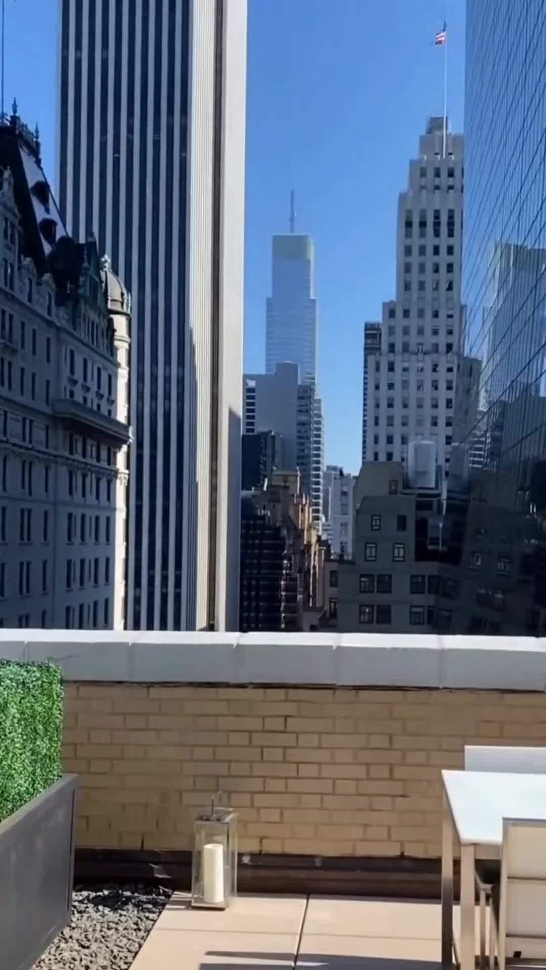 Vídeo do criador