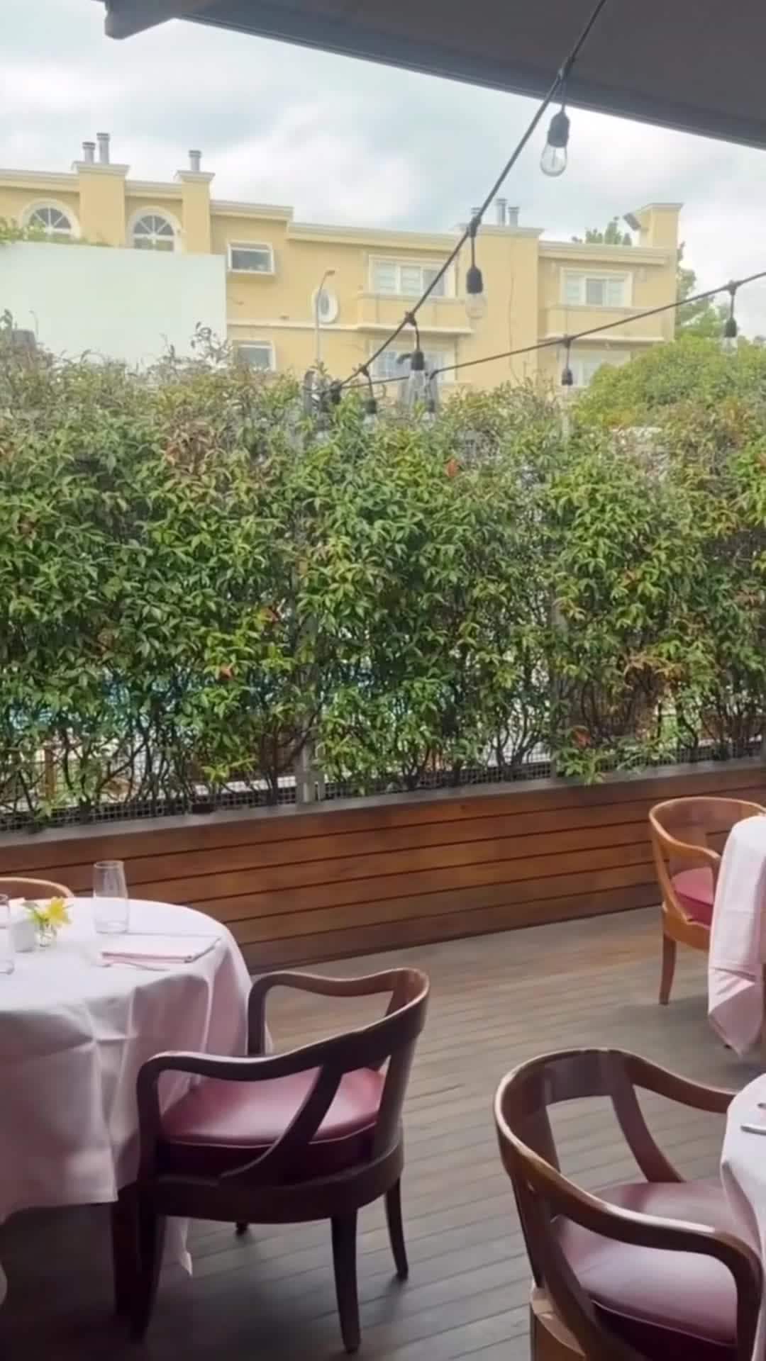 Vídeo do criador