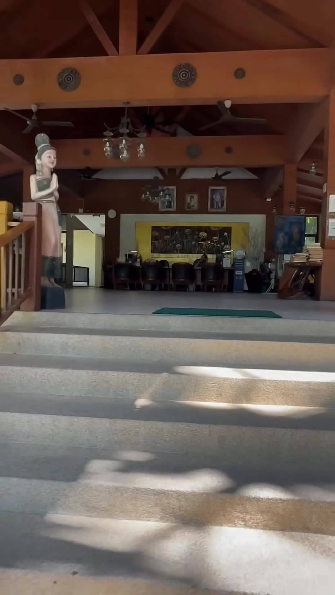 Vídeo do criador