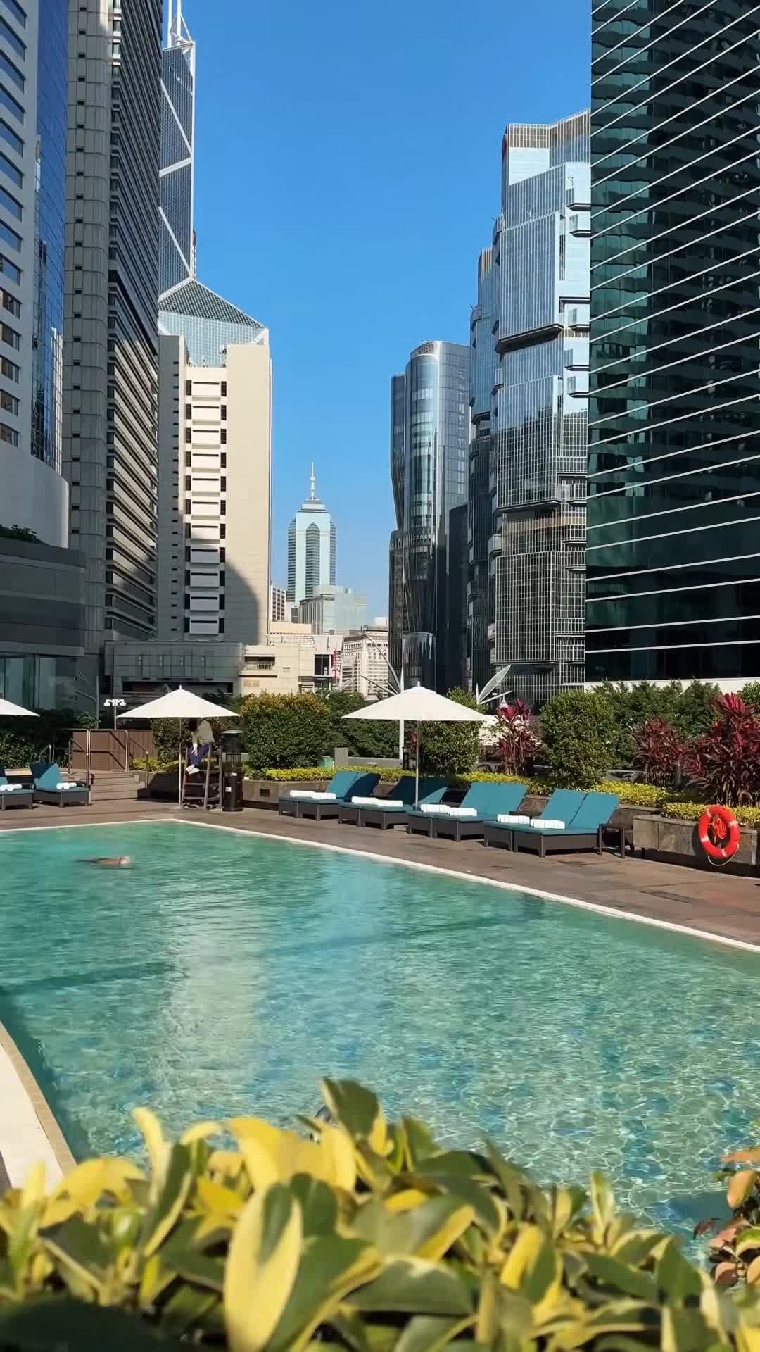Vídeo do criador