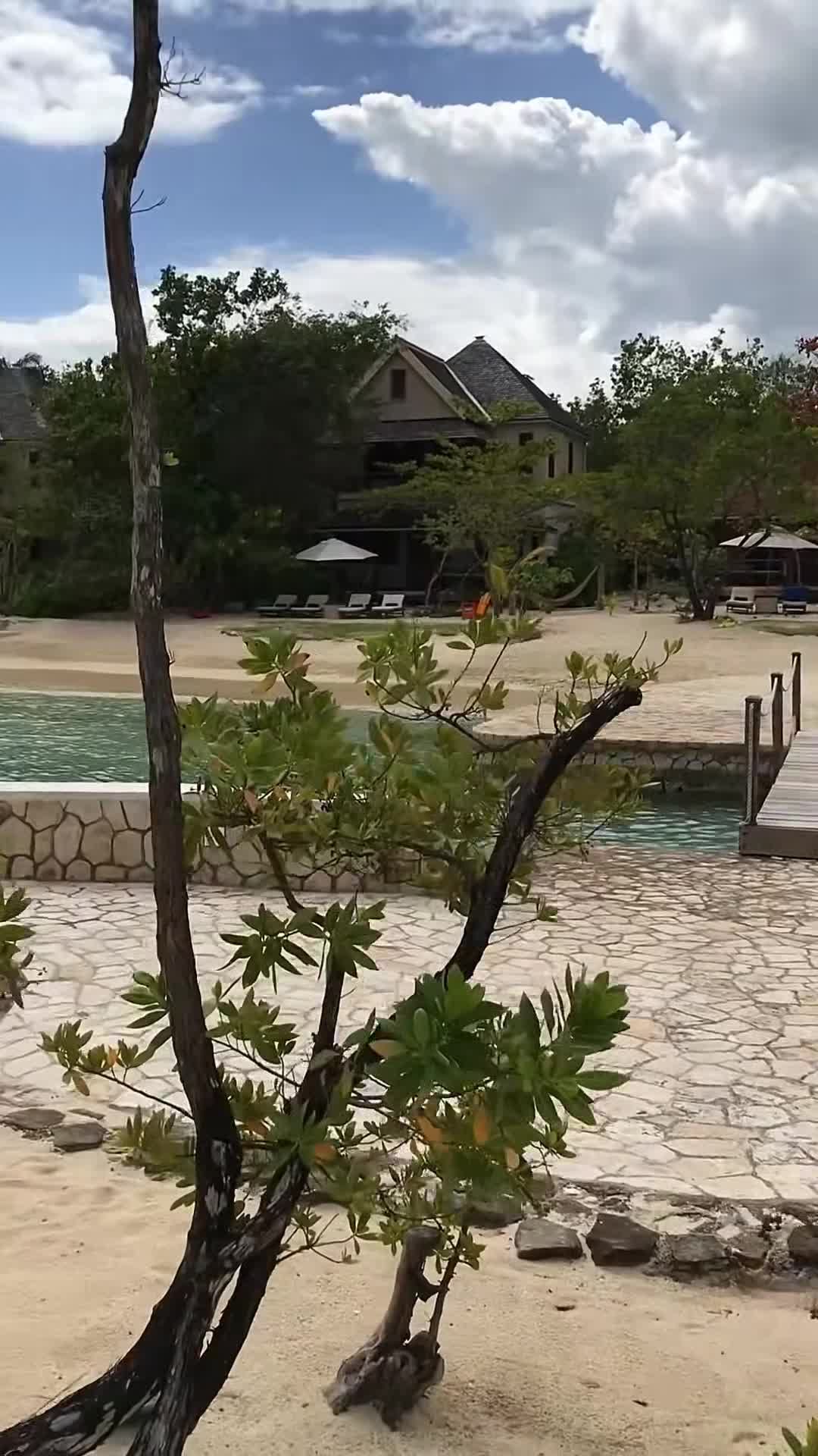 Vídeo do criador