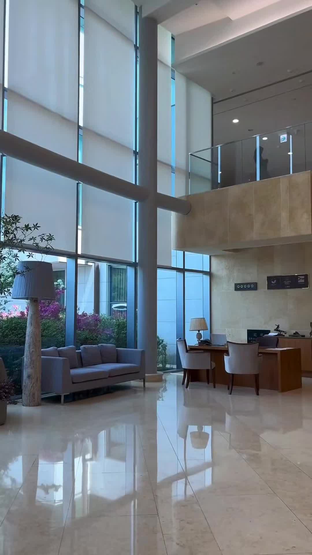 Vídeo do criador