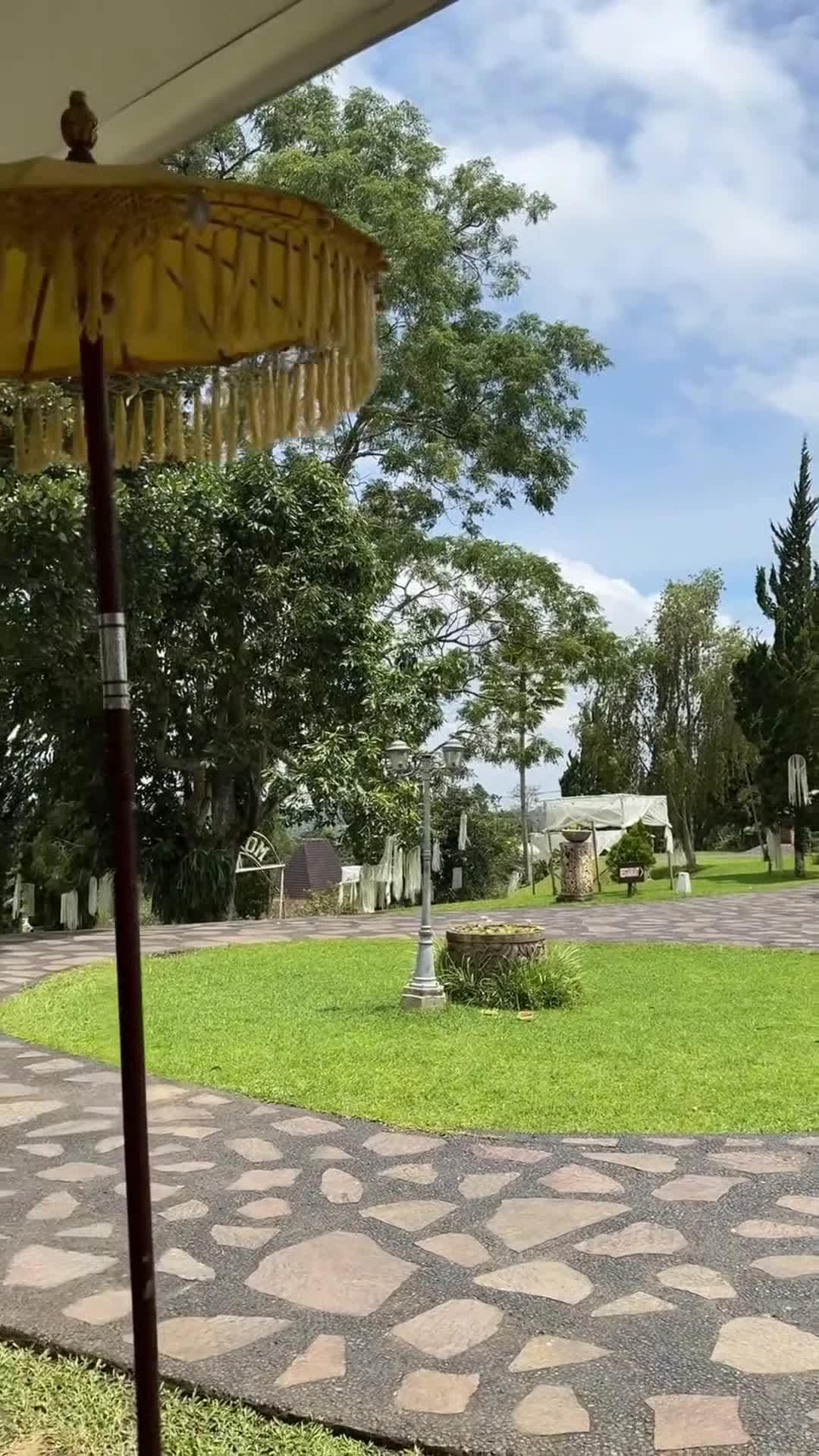 Vídeo do criador