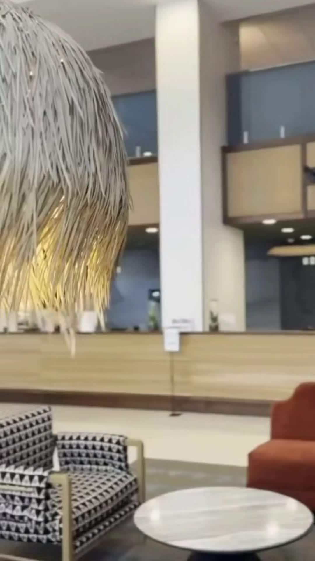 Vídeo do criador