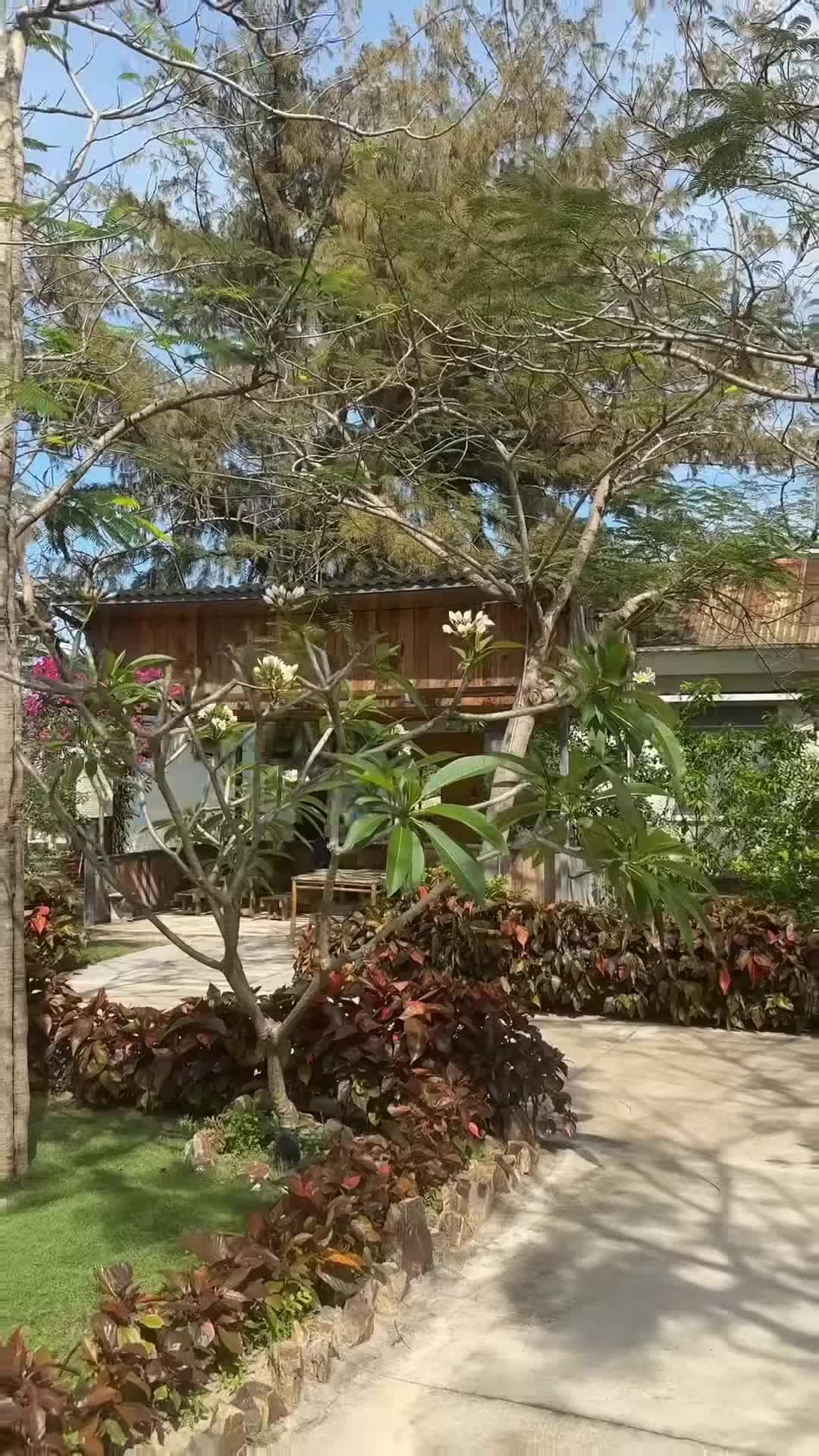 Vídeo do criador