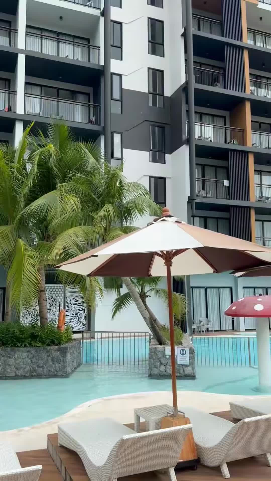 Vídeo do criador