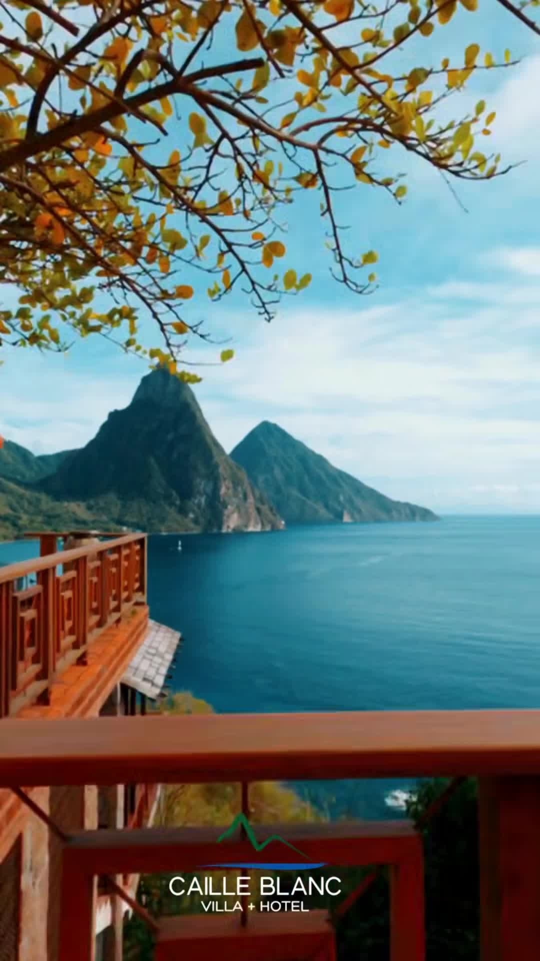 Vídeo do alojamento
